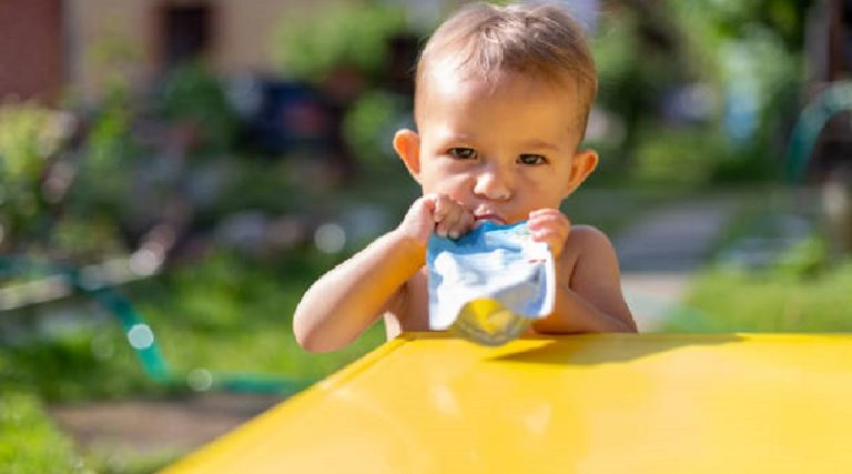 Homemade vs. Store-Bought Baby Pouches - The Good Mother Project